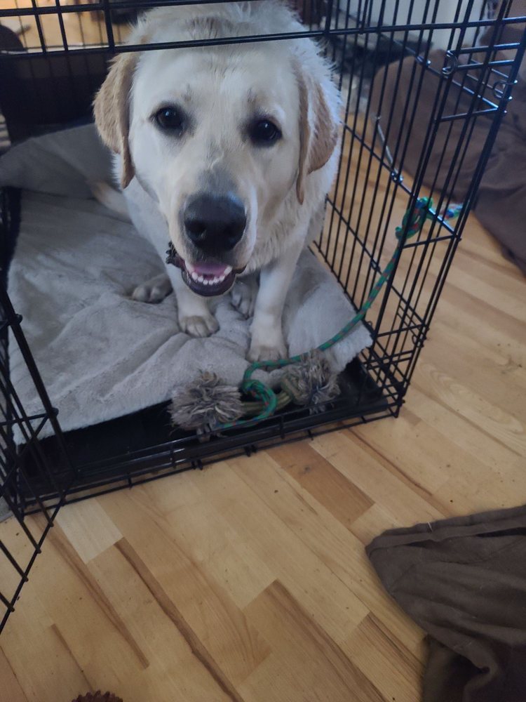 HARTLE FAMILY DENTISTRY - Updated December 2025 - 1685 Briargate Blvd ...