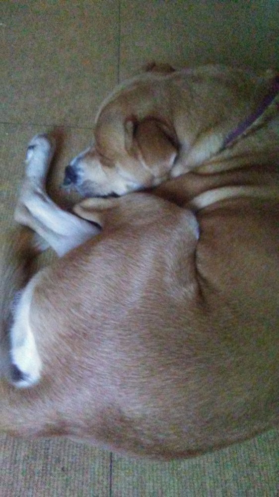 KORNFELD A HOWARD - Updated December 2025 - 20 Vesey St, New York, New ...