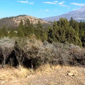 TRAILER LANE CAMPGROUND - Updated October 2024 - 45 Photos & 44 Reviews ...