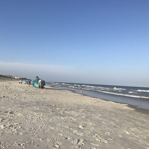 FOLLY FIELD BEACH PARK - 82 Photos & 23 Reviews - 55 Starfish Dr ...