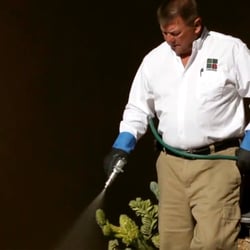 BULWARK EXTERMINATING - 12 Photos & 39 Reviews - Pest Control - 118 ...