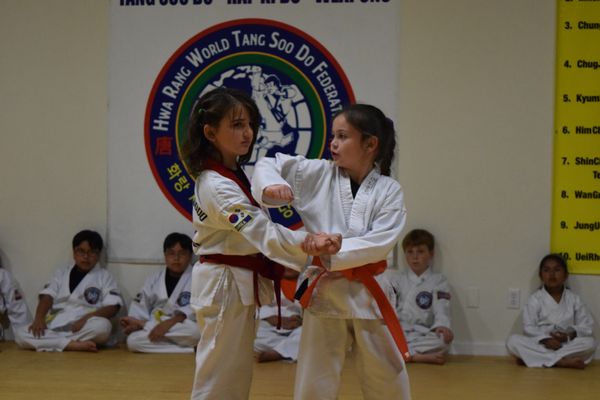 HWA RANG WORLD TANG SOO DO FEDERATION - Updated August 2025 - 20 Photos ...