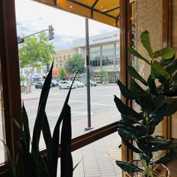 SALT AND OLIVE MEDITERRANEAN FOOD - Updated December 2025 - 534 Photos ...