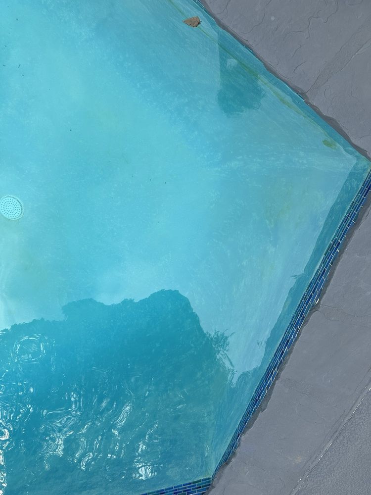 BELL POOL & SPA - Updated December 2025 - 14 Photos & 12 Reviews - 310 ...