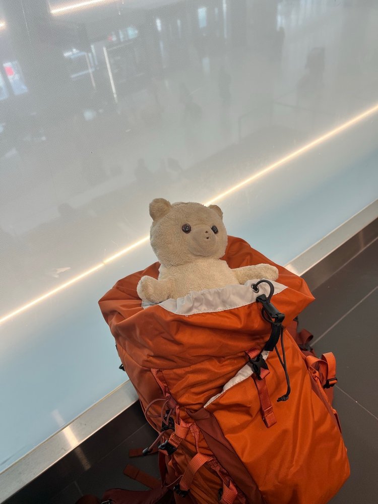 USO NORTHERN CALIFORNIA SFO AIRPORT CENTER - Updated October 2024 - 102 ...