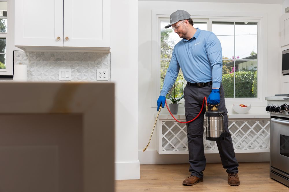 BROOKS PEST CONTROL - Updated October 2025 - 11 Photos & 36 Reviews ...