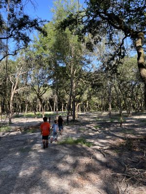 LOS POLLITOS FAMILY FARM - 38 Photos - 12890 NW 82nd Ct, Chiefland ...