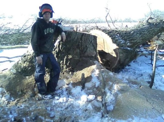 BEEGHLY TREE SERVICE, LLC - Updated September 2025 - 219 Hillvale Rd ...