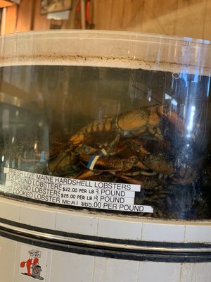 DIRK’S FISH & GOURMET SHOP - 173 Photos & 272 Reviews - 2070 N Clybourn ...