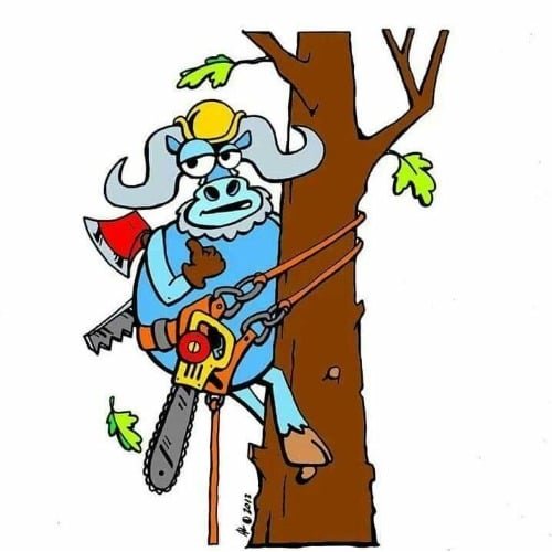 BLUE OX TREE SERVICE - Updated December 2025 - Throop, Pennsylvania ...