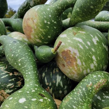 NALLS PRODUCE - Updated October 2025 - 394 Photos & 139 Reviews - 7310 ...