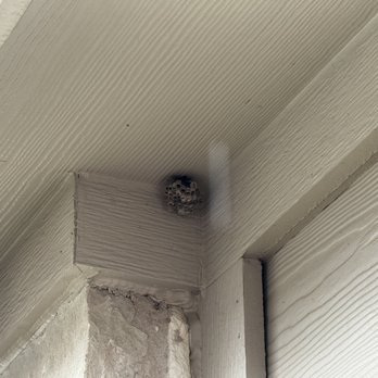 SIGNATURE PEST MANAGEMENT - Updated August 2024 - Round Rock, Texas ...