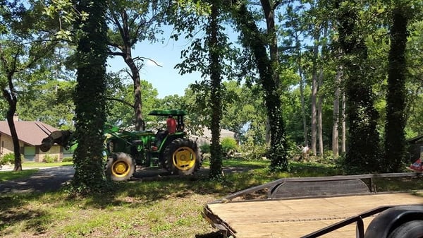 TYLER TREE SERVICE - Updated October 2025 - 12 Photos - Tyler, Texas ...