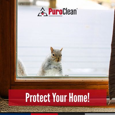 PUROCLEAN - Updated April 2024 - 37 Photos - 513 N Kankakee St ...