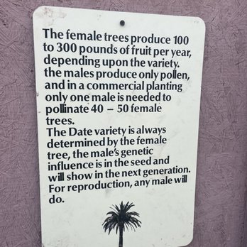 CHINA RANCH DATE FARM - Updated April 2025 - 457 Photos & 122 Reviews ...