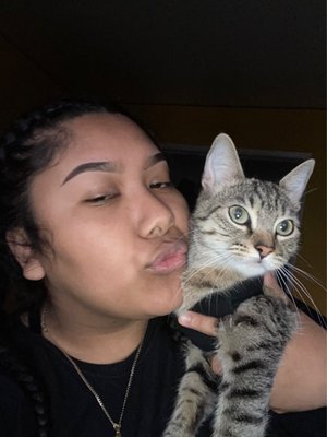 BERKELEY HUMANE - Updated December 2025 - 67 Photos & 133 Reviews - 936 Carleton St, Berkeley ...