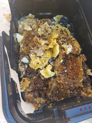 CRUZ CONTROL TERMITE INC. - Updated December 2025 - 81 Photos & 57 ...