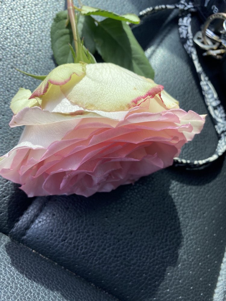 STRIC BOUTIQUE MAMMOGRAPHY - Updated September 2025 - 11923 Culebra Rd ...