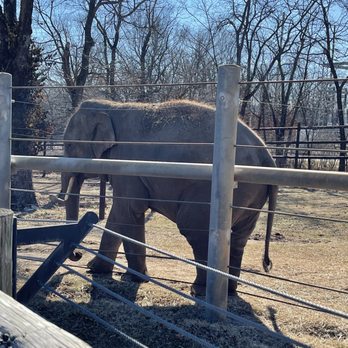 DICKERSON PARK ZOO - Updated March 2025 - 130 Photos & 48 Reviews ...