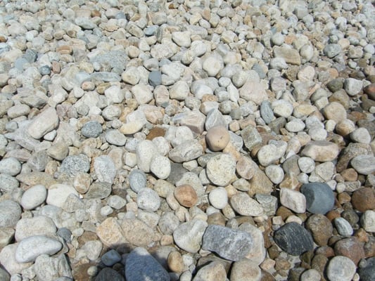 DEMAREST LLOYD STATE PARK - Updated August 2025 - 31 Photos - Barney's ...