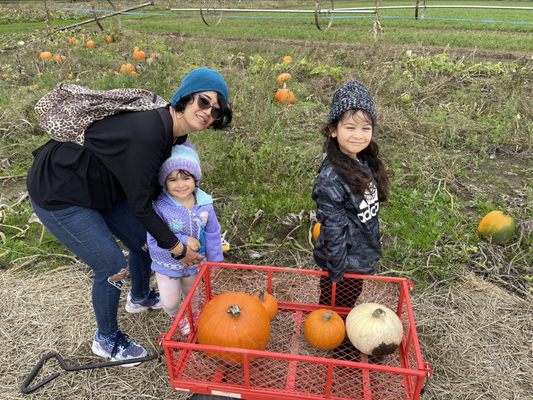 PIEFER FAMILY FARM - Updated October 2025 - 2575 NE Strawberry Ln ...