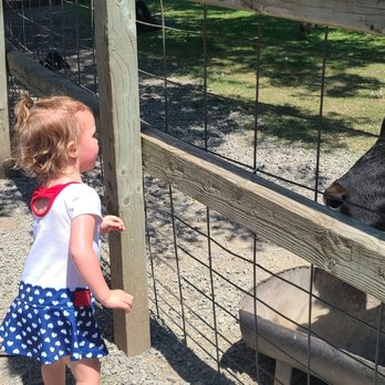 FAWN DOE ROSA - Updated October 2025 - 137 Photos & 45 Reviews - 2131 ...