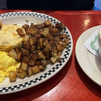 THE FLY TRAP - Updated October 2025 - 735 Photos & 1048 Reviews - 22950 ...