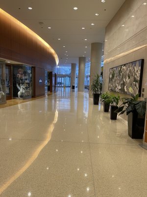 NORTHWESTERN MEDICINE PRENTICE WOMEN’S HOSPITAL - Updated April 2025 ...