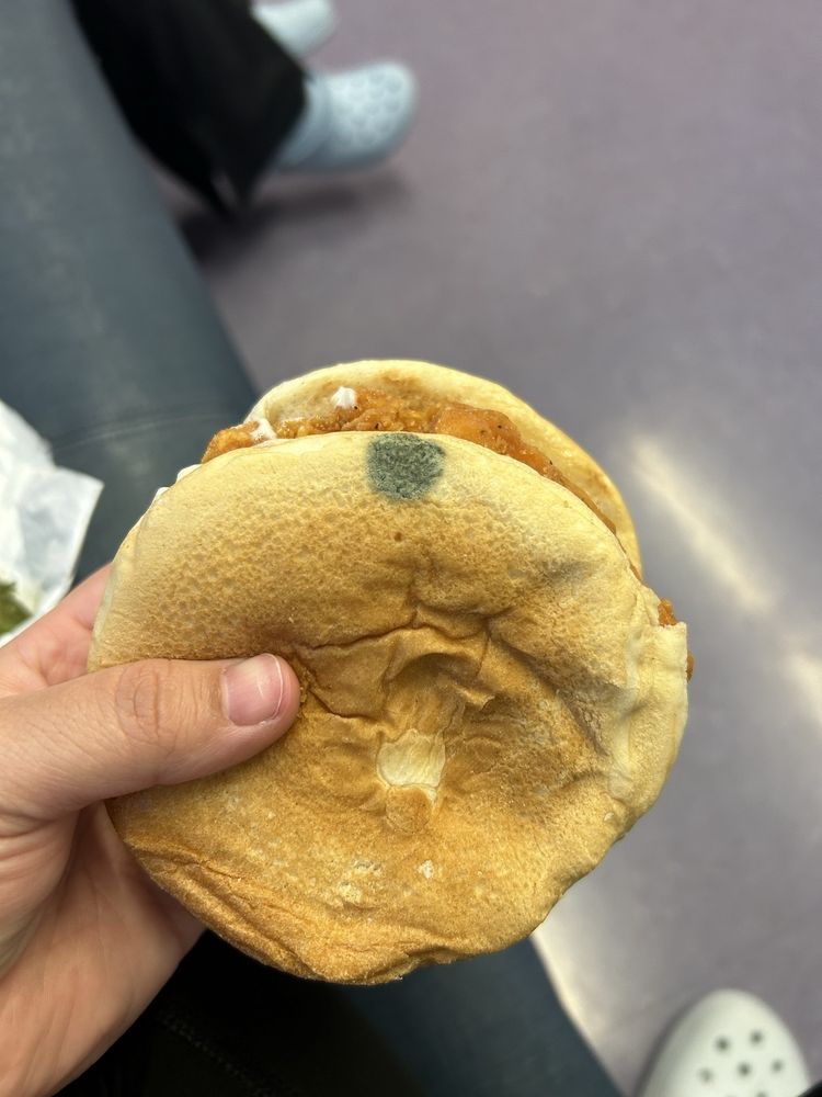 WENDY’S - Updated December 2025 - 12 Photos & 33 Reviews - 5502 Harry ...