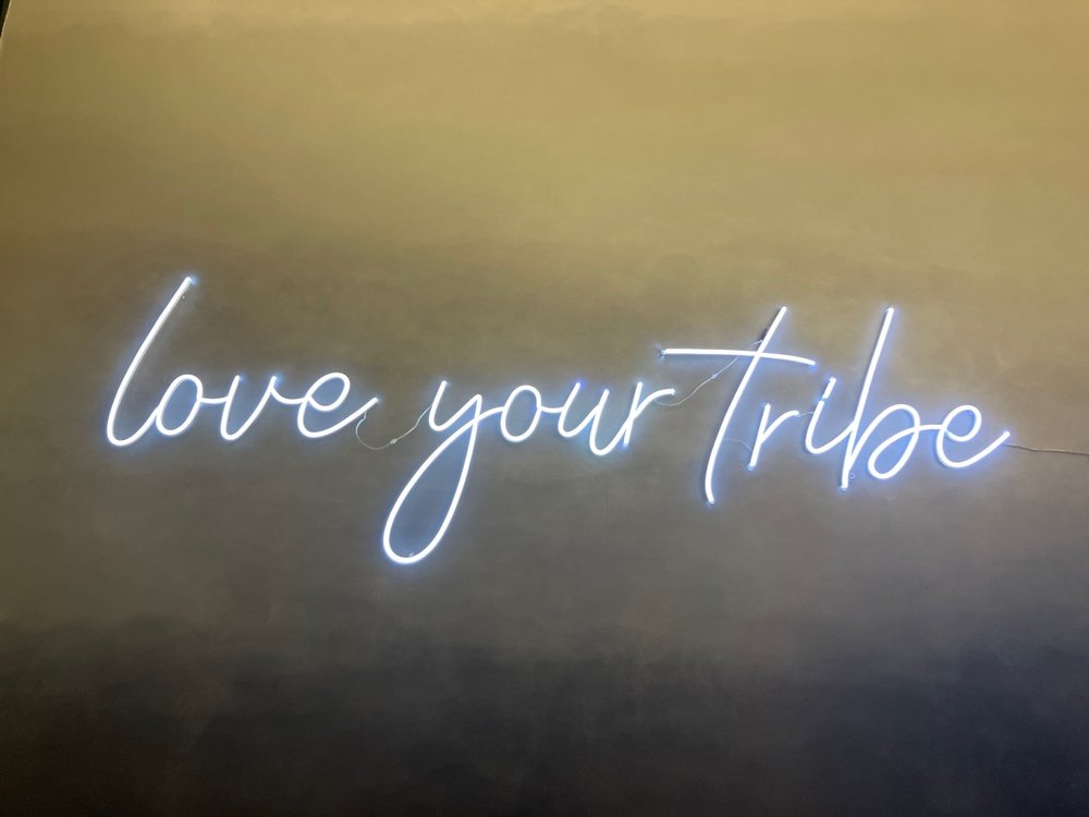 TRIBE CYCLE - Updated May 2024 - 1718 Whetstone Way, Baltimore ...