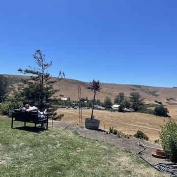 HARMONY CELLARS - Updated March 2025 - 292 Photos & 186 Reviews - 3255 ...