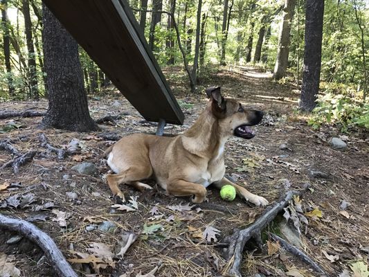 COLD SPRING PARK - 38 Photos & 19 Reviews - Duncklee St, Newton ...