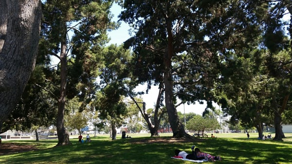 ATHENS PARK - Updated May 2026 - 17 Photos - 12603 S Broadway Ave, Los ...