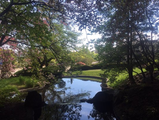 TIPPERARY PARK - Updated December 2025 - 4th & Royal Avenue, New ...