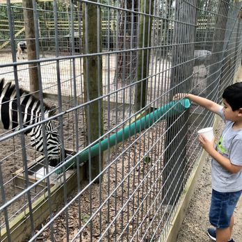 BEE CITY ZOO - Updated July 2025 - 396 Photos & 118 Reviews - 1066 ...