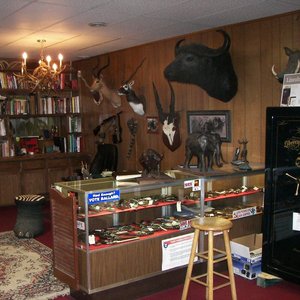 DON’S GUNS & GALLERIES - Updated January 2025 - 19 Reviews - 38th ...