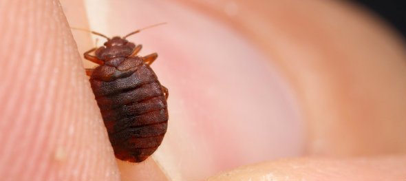 SMITHEREEN PEST MANAGEMENT SERVICES - Updated June 2026 - 32 Photos ...