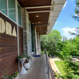 FLORA - Updated March 2025 - 592 Photos & 358 Reviews - 3422 Allen Pkwy ...