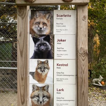 WOLF PARK - Updated December 2025 - 99 Photos & 32 Reviews - 4004 E ...