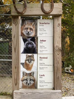 WOLF PARK - Updated October 2025 - 99 Photos & 32 Reviews - 4004 E ...
