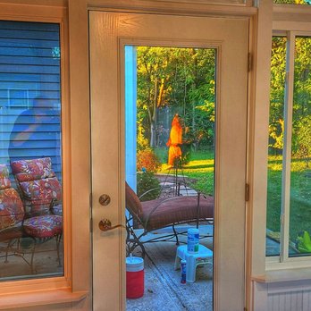 BEE WINDOW - Updated December 2024 - 32 Photos & 35 Reviews - 115 ...