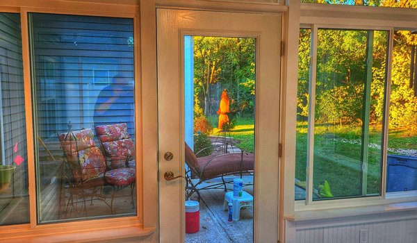 BEE WINDOW - Updated December 2025 - 32 Photos & 38 Reviews - 115 ...