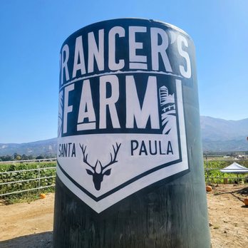 PRANCERS FARM - Updated November 2024 - 141 Photos & 41 Reviews - 18540 ...