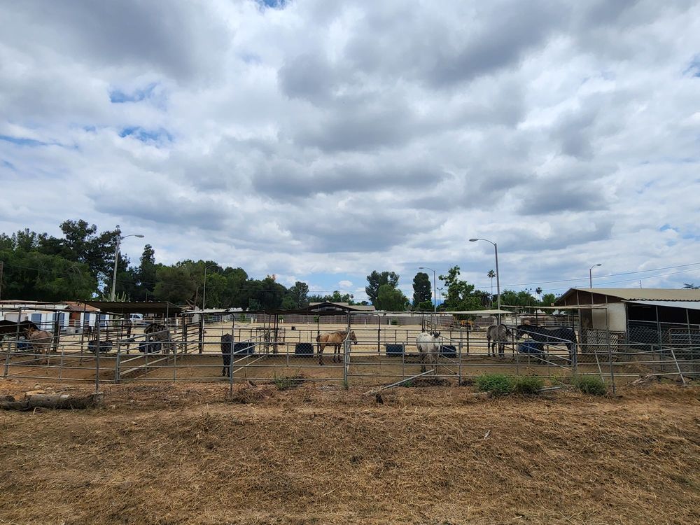 STONEY POINT - 229 Photos & 84 Reviews - Topanga Canyon Blvd ...