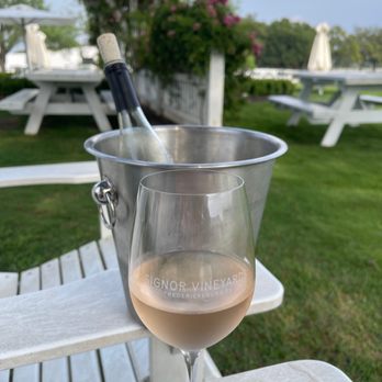 SIGNOR VINEYARDS - 625 Photos & 244 Reviews - 362 Livesay Ln ...