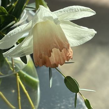 CORIANDER KITCHEN & FARM - Updated August 2025 - 426 Photos & 179 ...