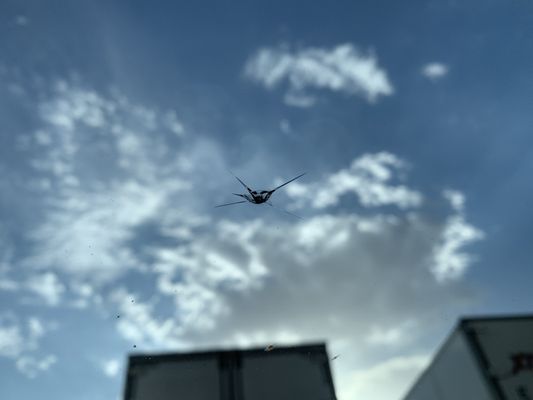 ASAP GLASS - Updated October 2025 - 31 Photos & 88 Reviews - 1720 ...