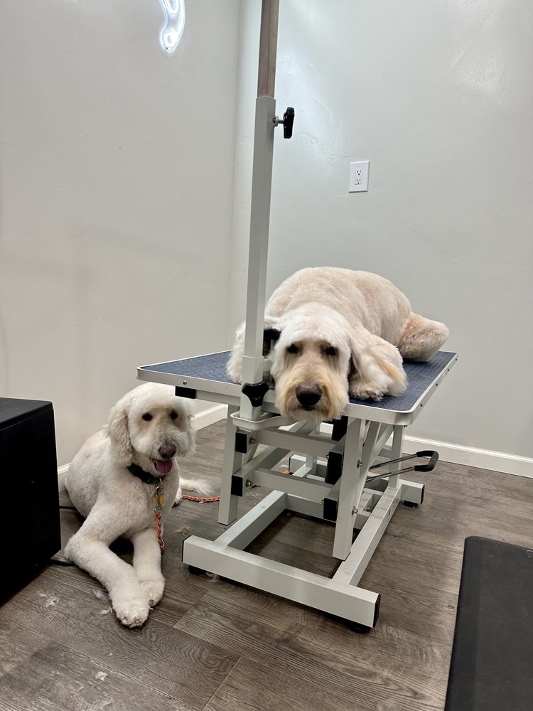 UNLEASHED GROOMING - Updated December 2025 - 14254 Oak Ridge Rd, Penn ...