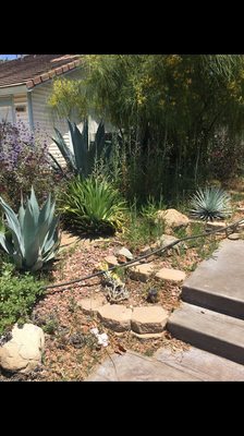 BRIAN’S LANDSCAPING & JUNK REMOVAL - Updated April 2026 - 110 Photos ...