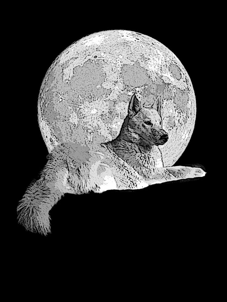 WOLF WELDING AND FABRICATION - Updated July 2025 - Frenchtown, New ...